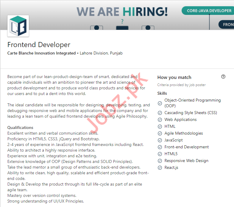 JAVA Developer & Front End Developer Jobs in Lahore Division 2024 Job ...