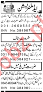 Female Computer Operator & Office Assistant Jobs 2020 2025 Job ...