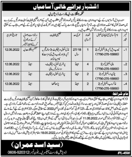 Layyah Forest Division Jobs 2022 2025 Job Advertisement Pakistan