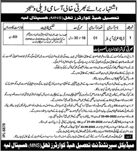 Tehsile Headquarter Hospital THQ Layyah Job 2022 2025 Job Advertisement Pakistan
