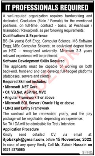 IT Professional Jobs 2022 2024 Job Advertisement Pakistan
