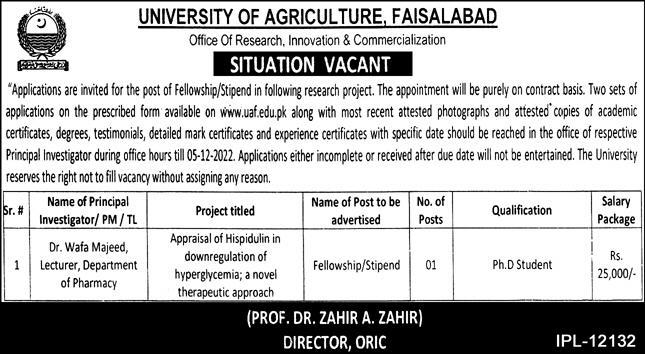 University of Agriculture Faisalabad Research Fellow Jobs 2024 Job Advertisement Pakistan