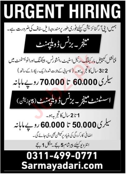 Manager Business Development Jobs 2023 2024 Job Advertisement Pakistan