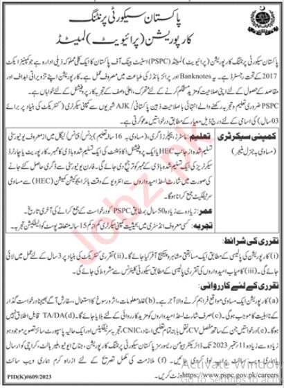 Pakistan Security Company Karachi Job 2023 2024 Job Advertisement Pakistan