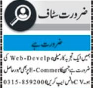 E Commerce Expert & Web Developer Jobs 2024 2025 Job Advertisement Pakistan