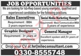 Nile Consultant Rawalpindi Jobs 2024 2025 Job Advertisement Pakistan