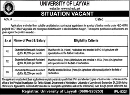 Job Opportunities at University of Layyah 2025 Job Advertisement Pakistan