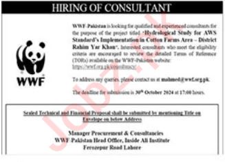 Consultant job at WWF Pakistan 2025 Job Advertisement Pakistan