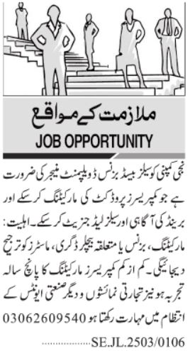Business Development Manager Jobs 2025 in Karachi 2025 Job Advertisement Pakistan