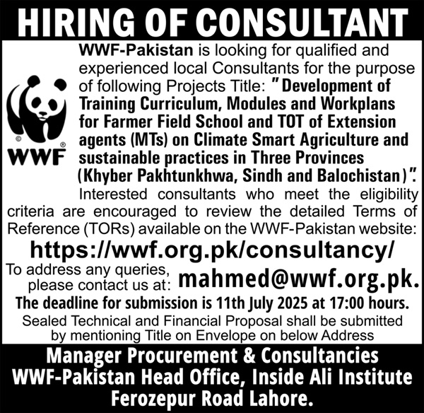 WWP Pakistan Jobs 2025 for Consultants 2025 Job Advertisement Pakistan